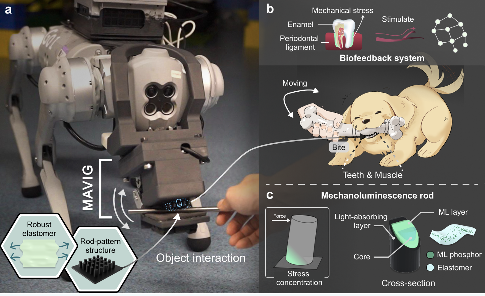 A Bio-Inspired Event-Driven Mechanoluminescent Visuotactile Sensor for ...